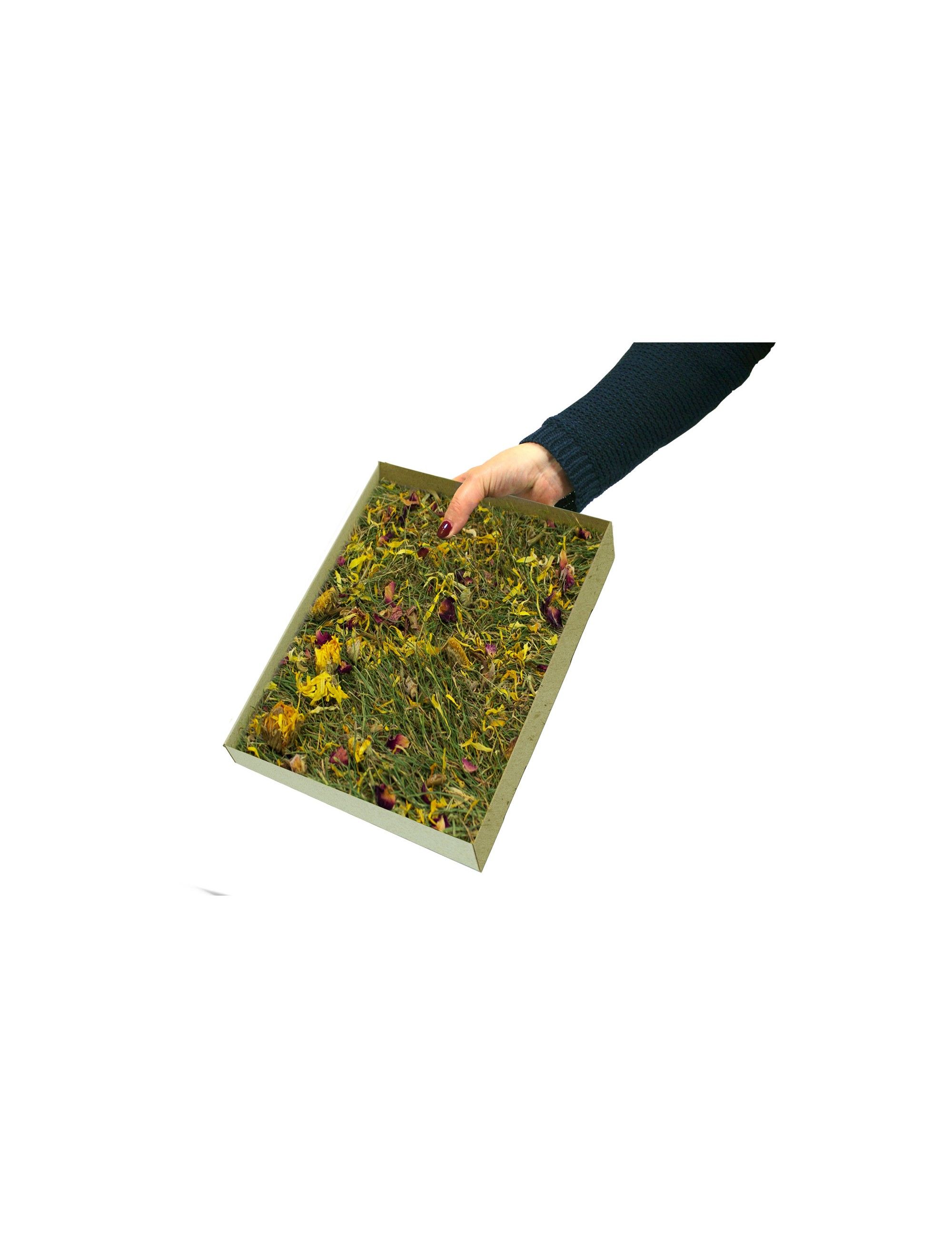 JR FARM “Flowers” Digging Mat for Rodents