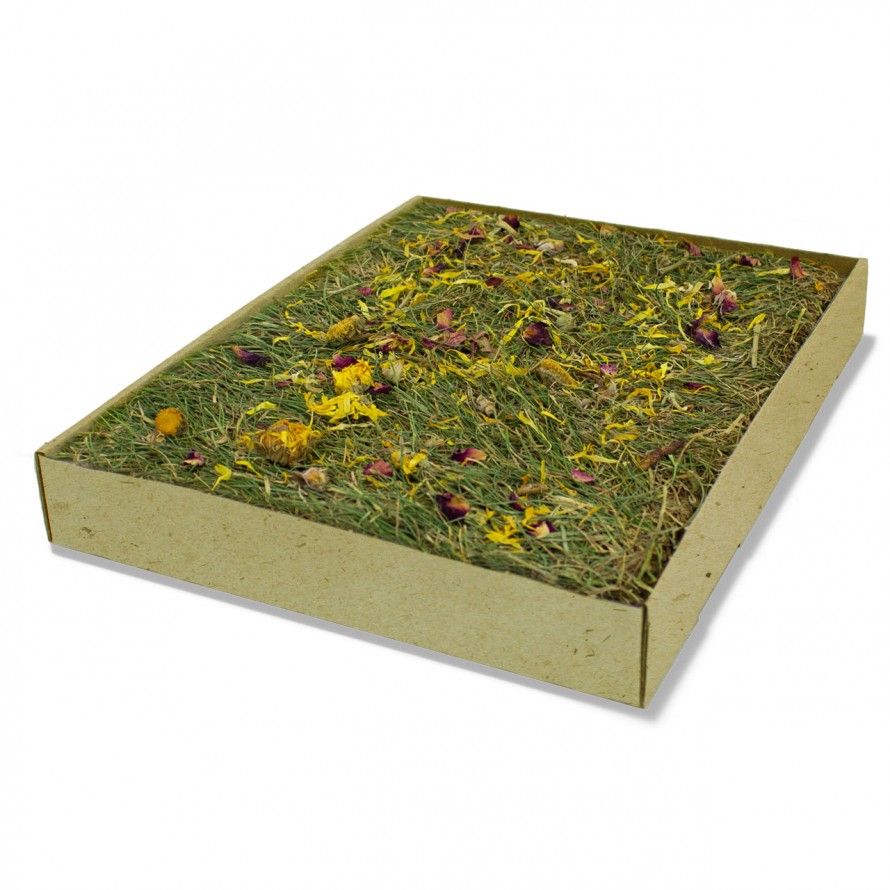 JR FARM “Flowers” Digging Mat for Rodents