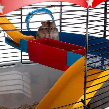 Ferplast “Circus Fun” Cage for Hamsters and Mice