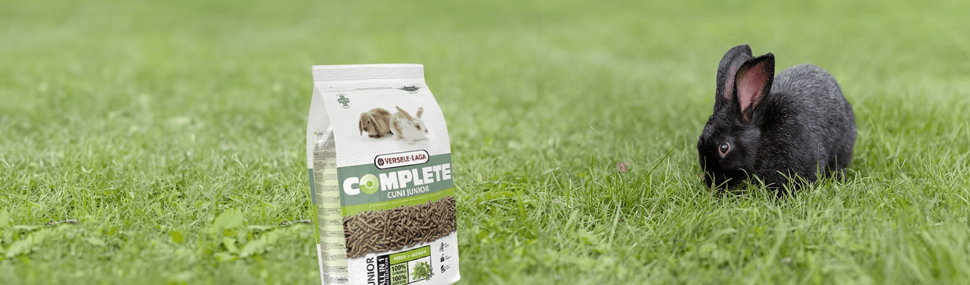 LePetitRongeur.com : L'animalerie spécialiste du lapin et du rongeur.